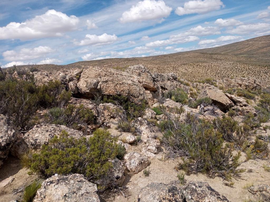 Green Shift Commodities - Home